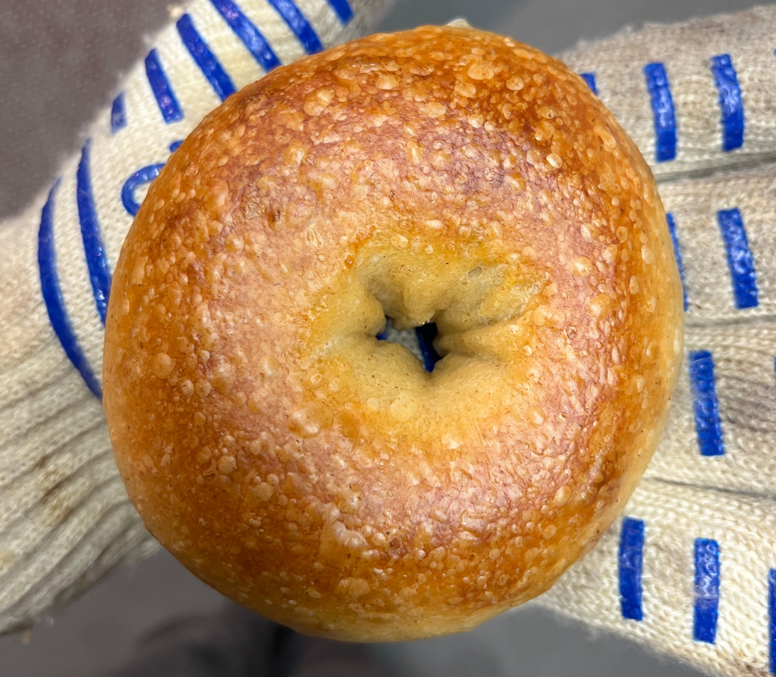 Single Bagel | Downtime Bakery